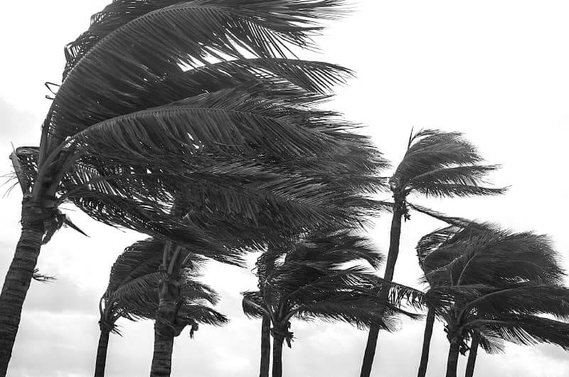 Post Tropical Cyclone Idalia Updates | BELCO